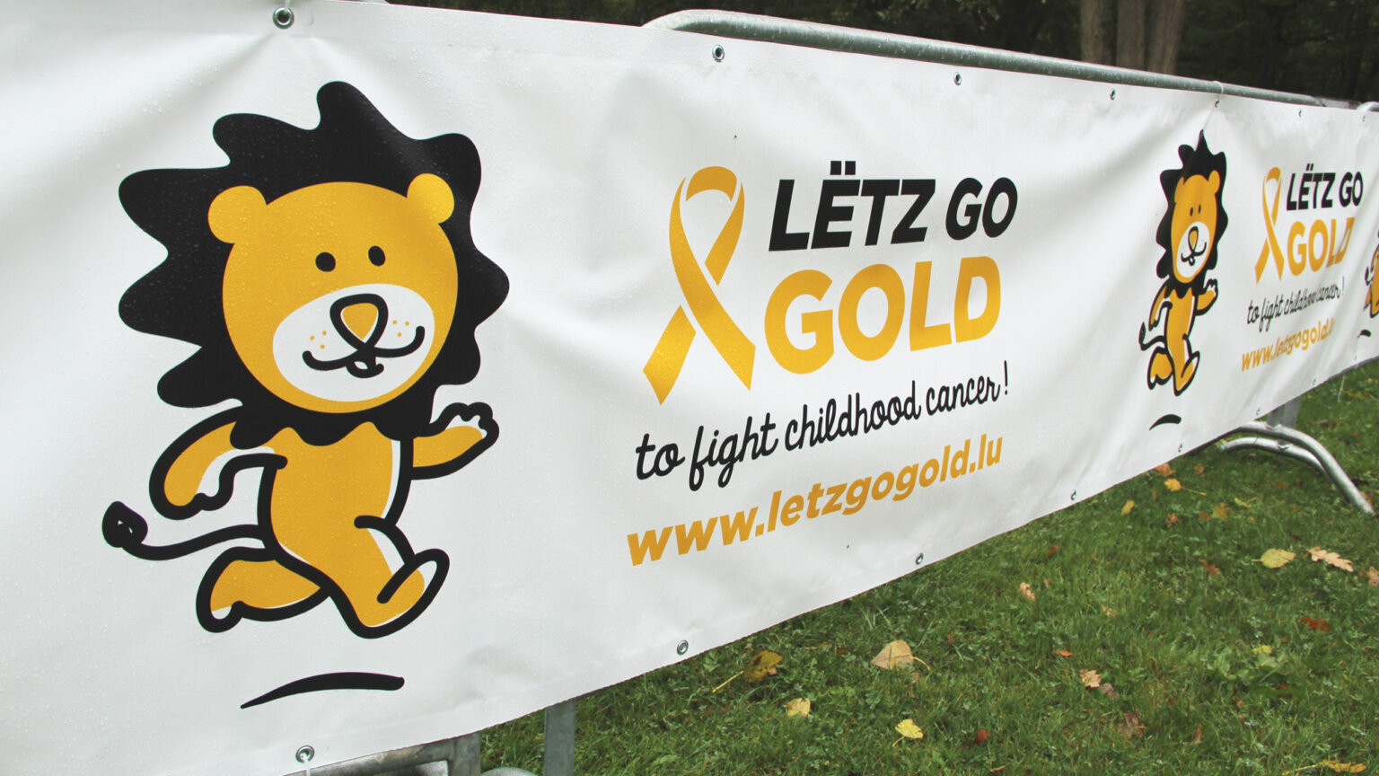 Foyer Global Health gets a makeover - Foyer